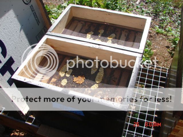 How I plan on overwintering 40 mating nucs on mini frames | Beesource Beekeeping Forums